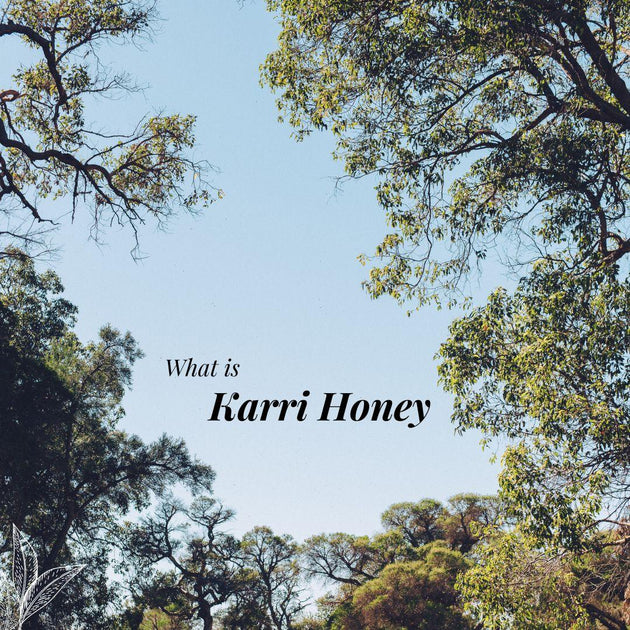 Honey Perth | Forest Fresh Honey - Suppliers & Exporters of Pure Bio ...