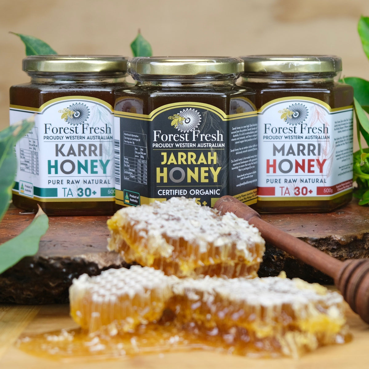Honey Perth | Forest Fresh Honey - Suppliers & Exporters of Pure Bio ...