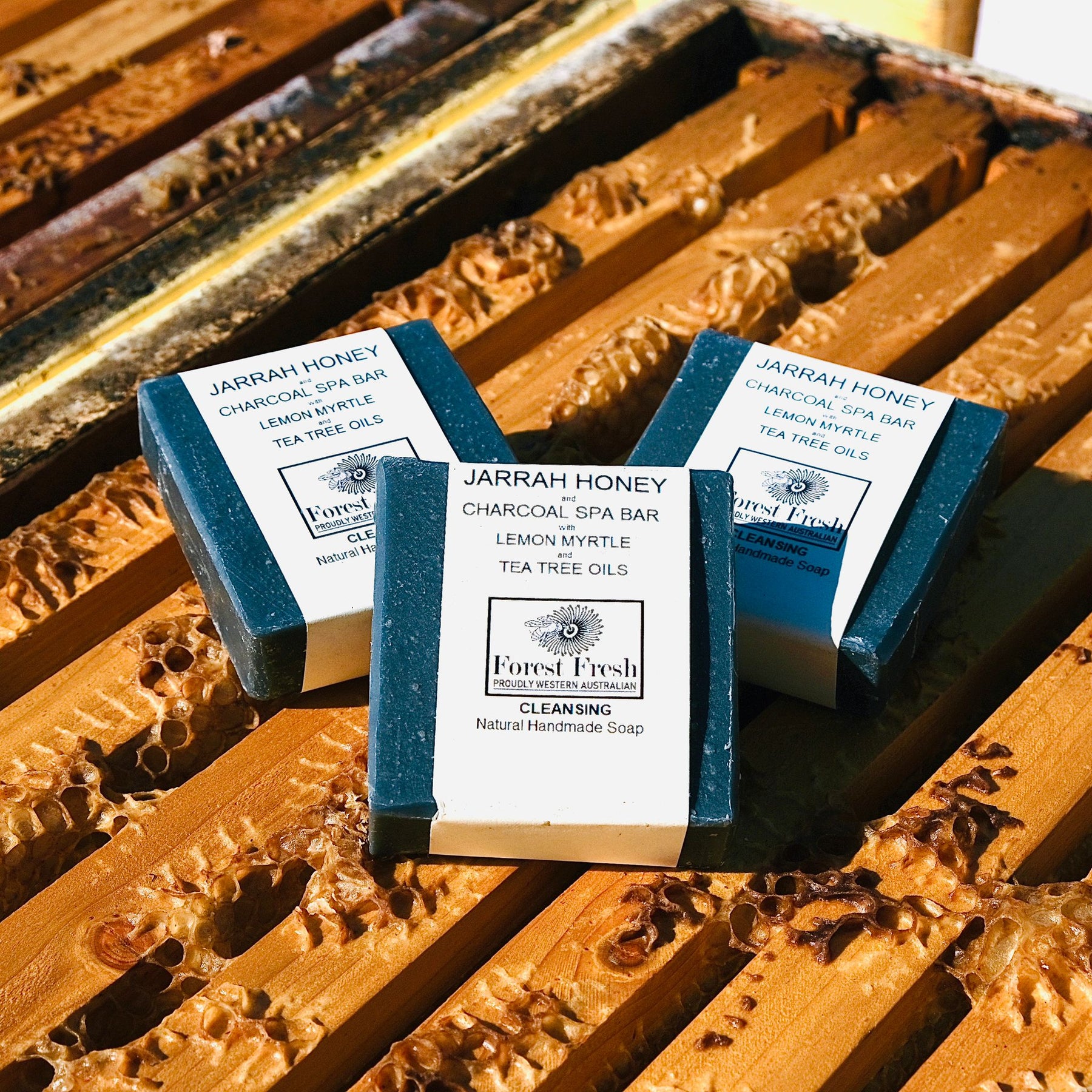 Honey Perth | Forest Fresh Honey - Suppliers & Exporters of Pure Bio ...